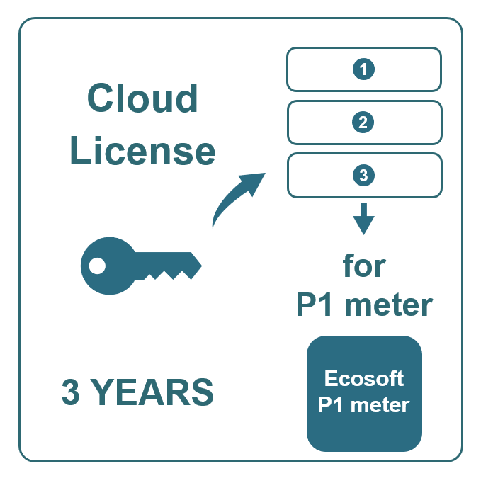 Ecosoft P1 meter cloud license 3 years – Ecosoft